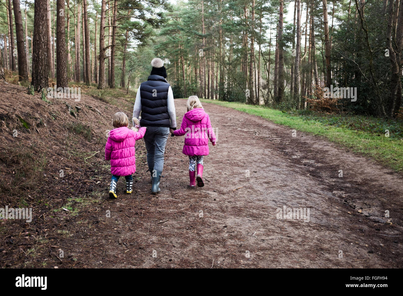 Children walk forest hi-res stock photography and images - Alamy