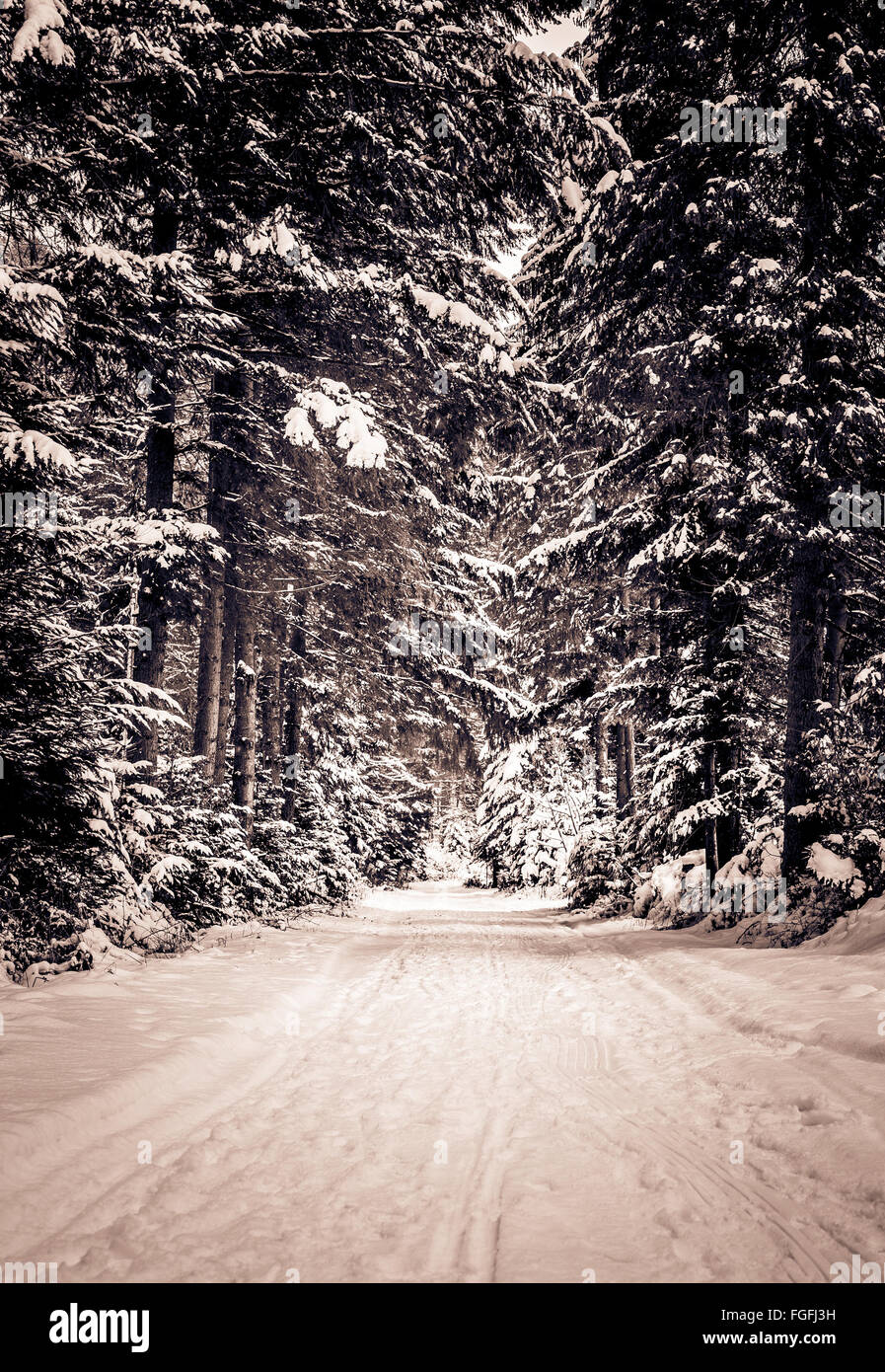 Winter landscape. Road covered in snow in dense forest Stock Photo - Alamy