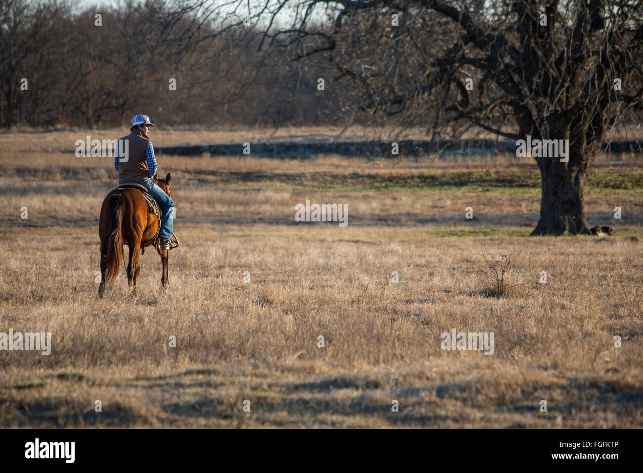 A young cowboy rides his horse across a pasture Stock Photo - Alamy