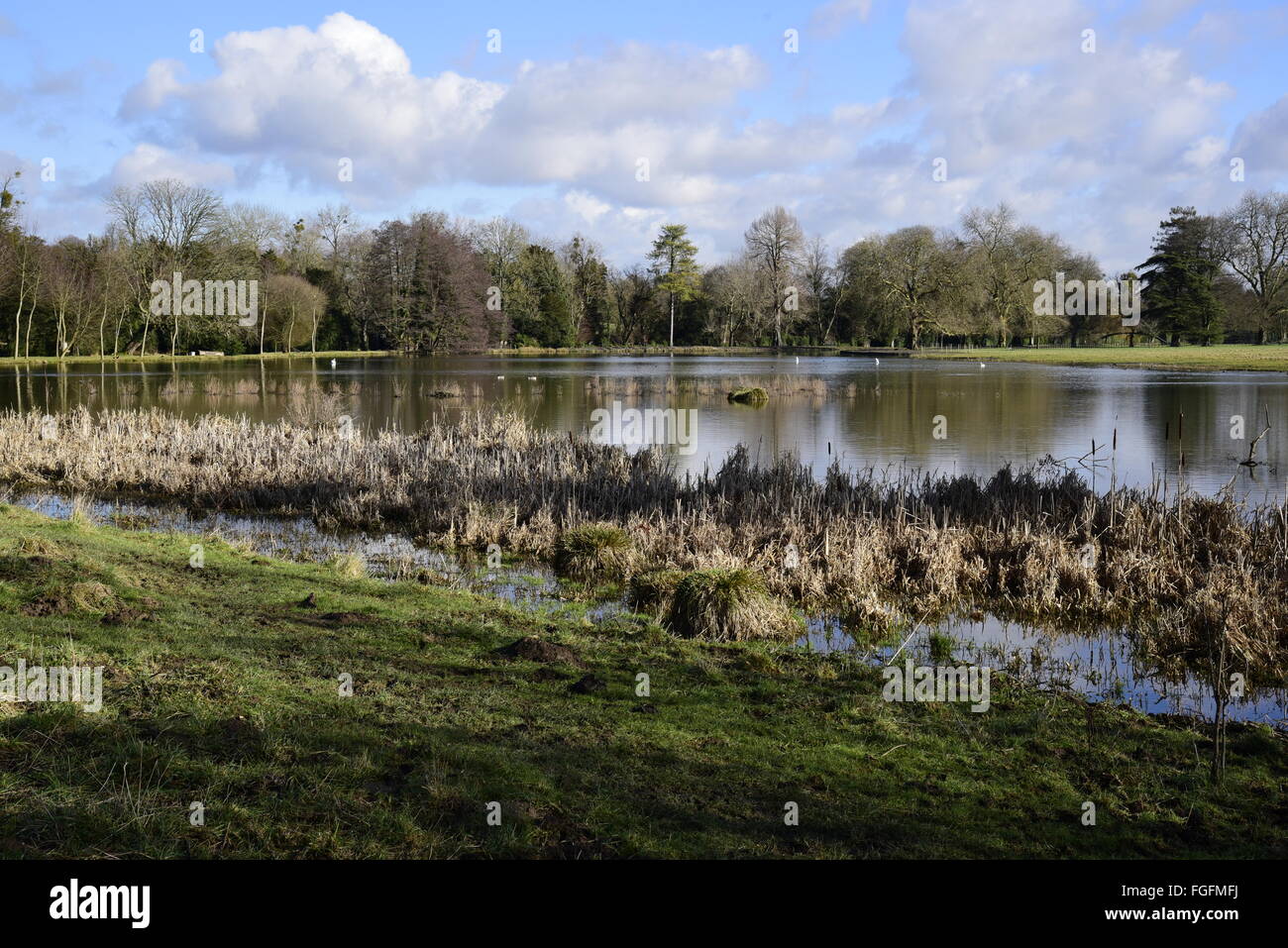 Avington park hi-res stock photography and images - Alamy