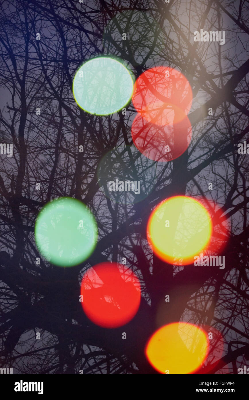 abstract tree with lights and double exposure Stock Photo - Alamy