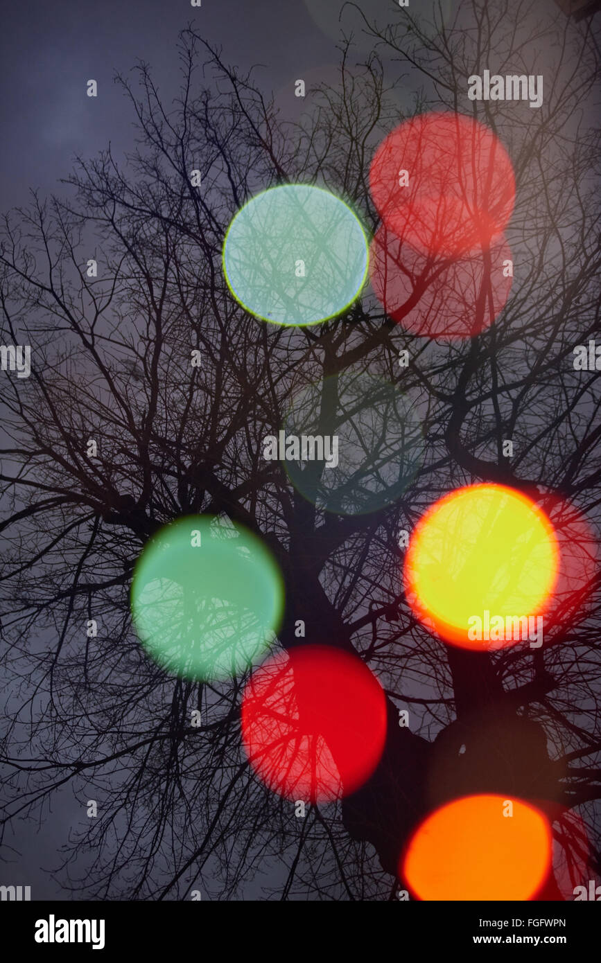 abstract tree with lights and double exposure Stock Photo - Alamy