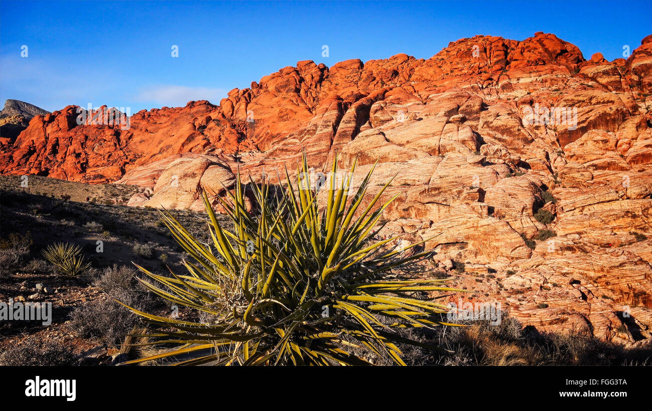 The Red Rock Canyon National Conservation Area near Las Vegas, Nevada ...