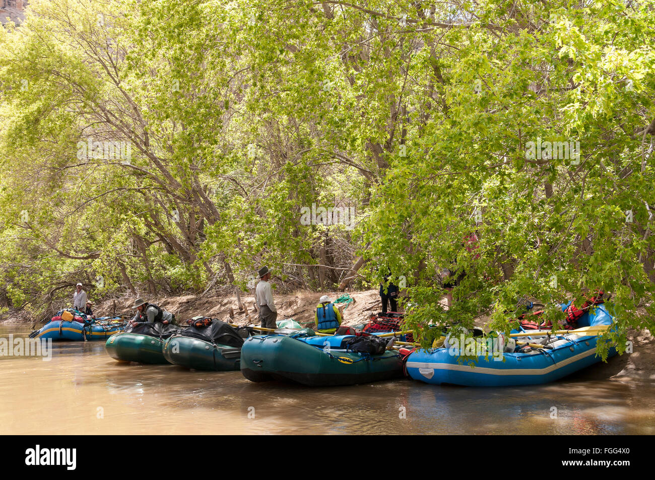Rafts at the boat landing, Echo Park, Dinosaur National Monument ...