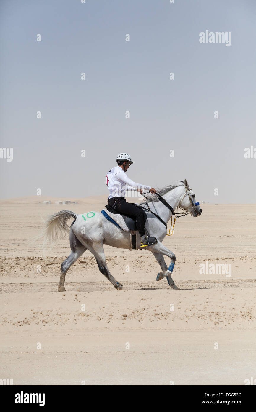 Horse and rider competing in Endurance racing, CHI Al Shaqab 2014 Stock ...