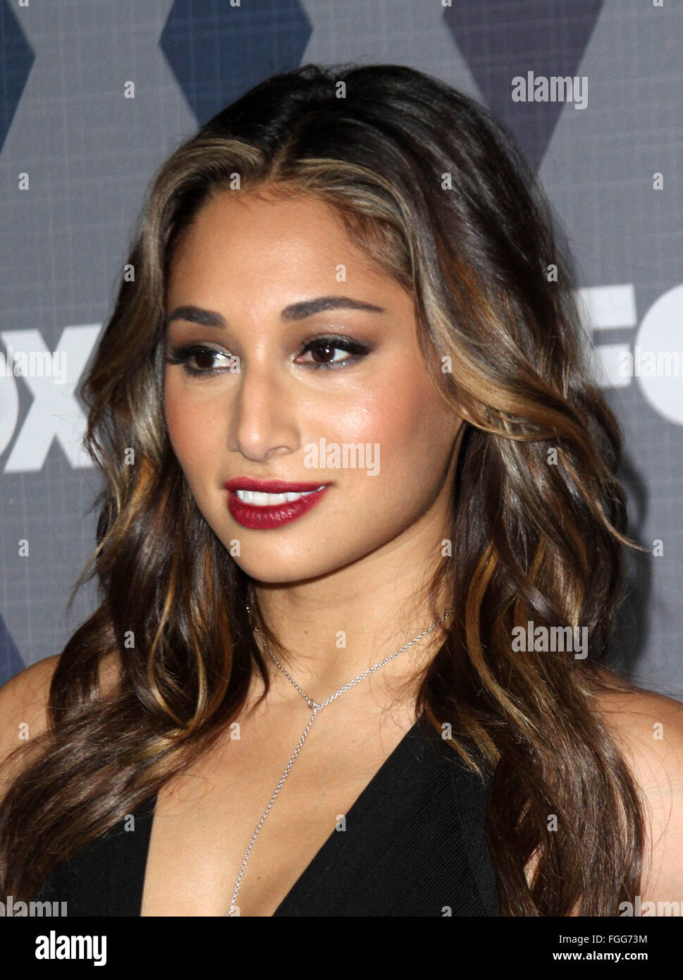 FOX Winter TCA 2016 All-Star Party held at the Langham Huntington Hotel ...