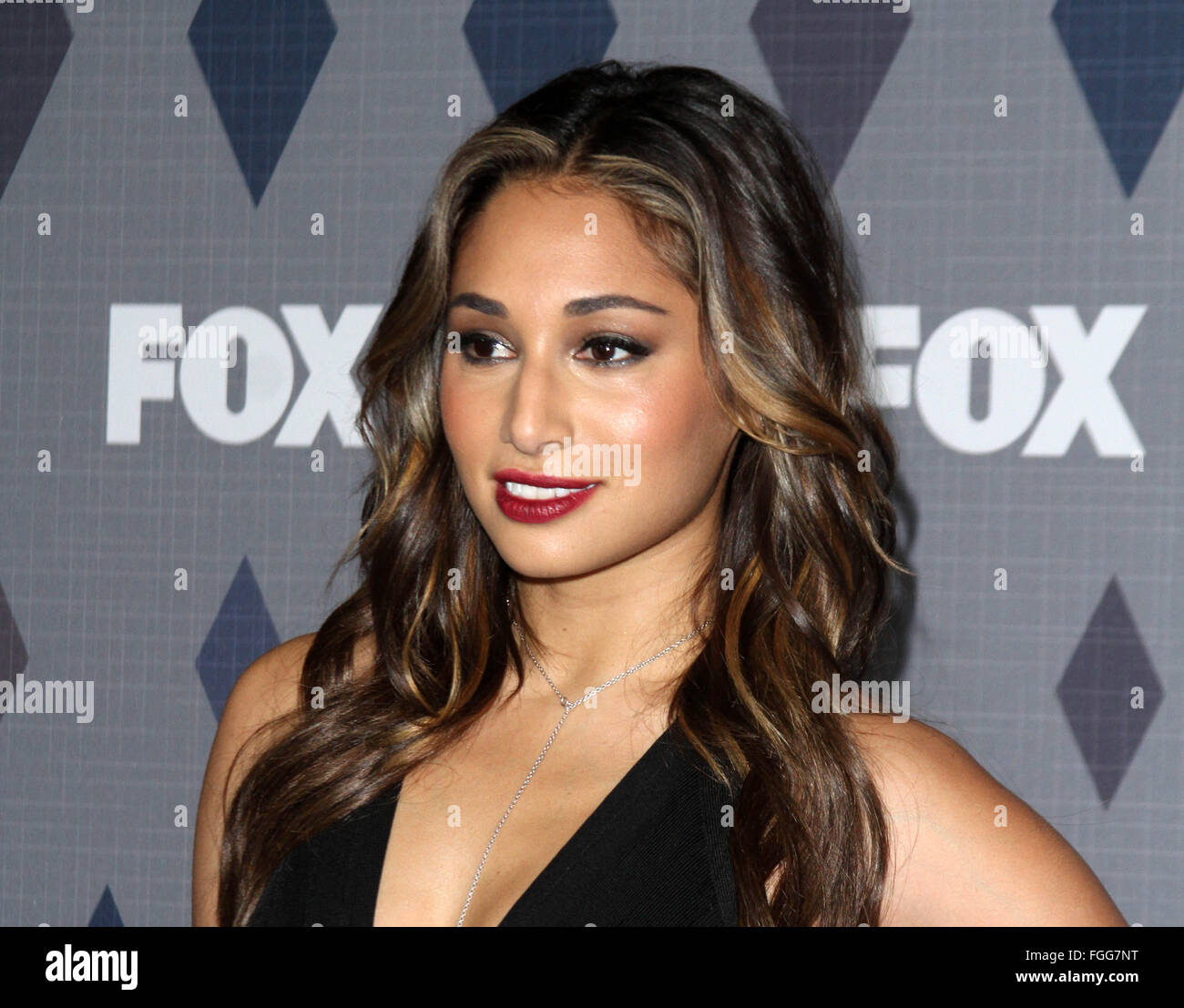 FOX Winter TCA 2016 All-Star Party held at the Langham Huntington Hotel ...