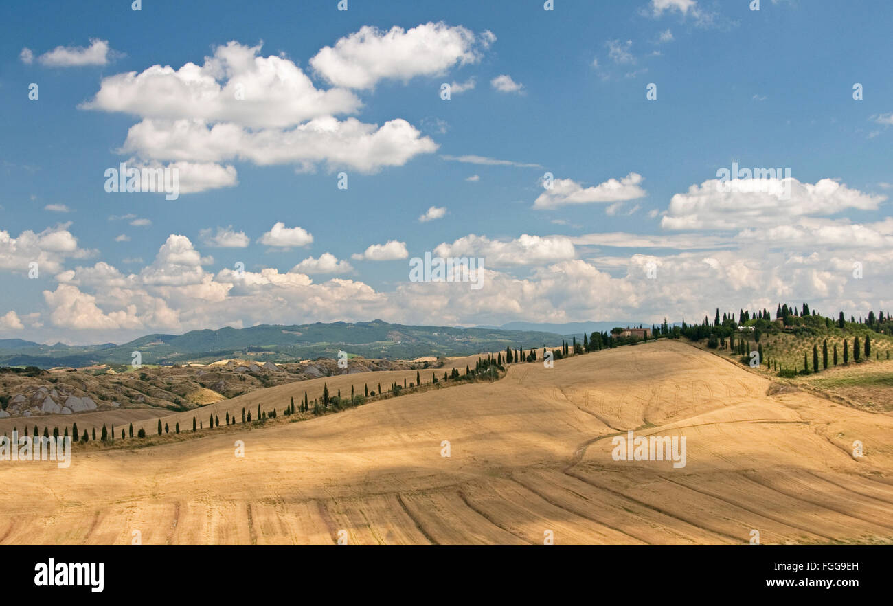 Attractive rolling hills of Le Crete region of Tuscany Stock Photo - Alamy