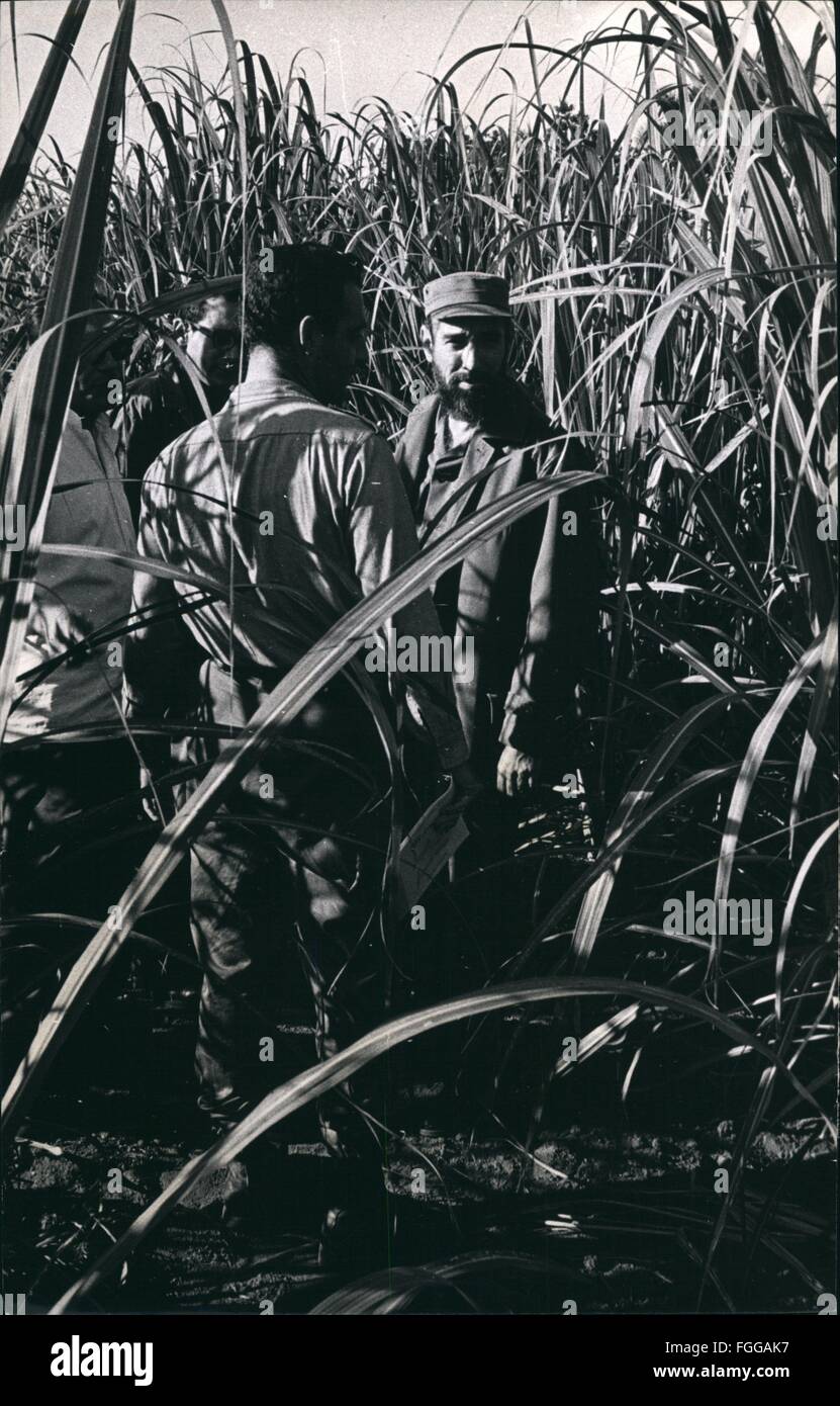 1966 - Fidel Castro in jungle (Credit Image: © Keystone Pictures USA ...