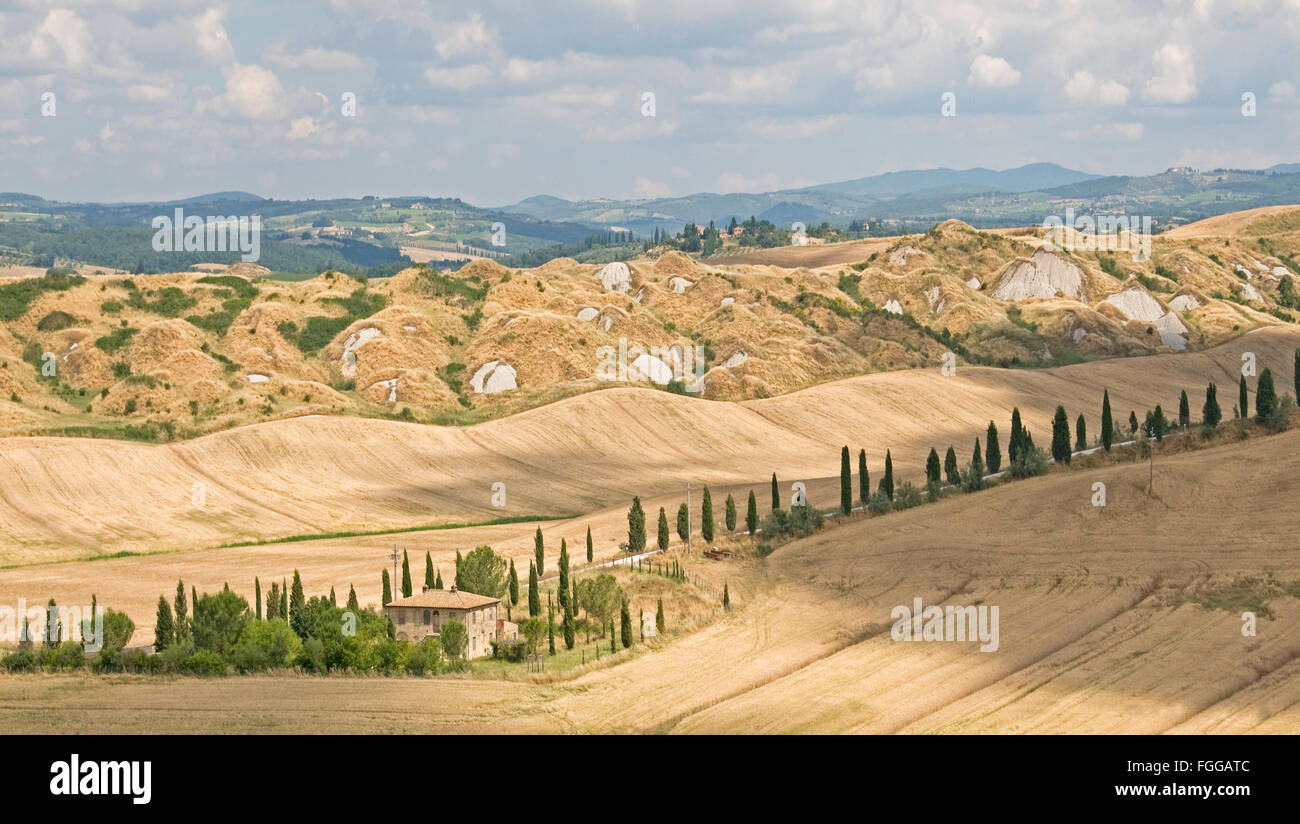 Attractive rolling hills of Le Crete region of Tuscany Stock Photo - Alamy