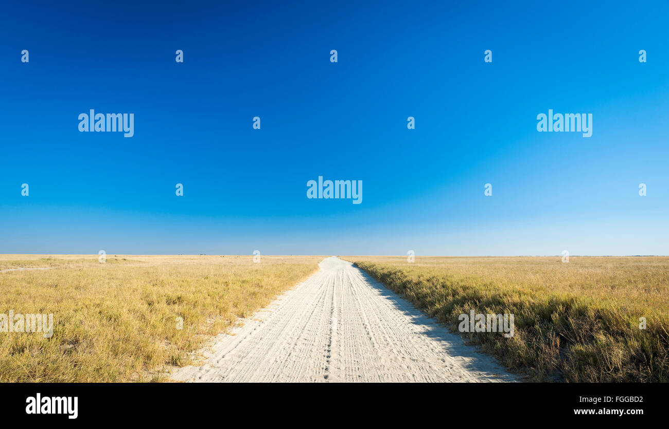 Endless dirt road through the plains of Botswana, Africa at the ...