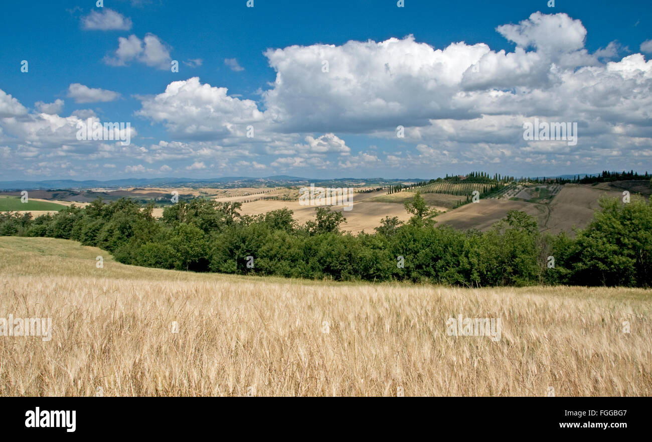 Attractive rolling hills of Le Crete region of Tuscany Stock Photo - Alamy