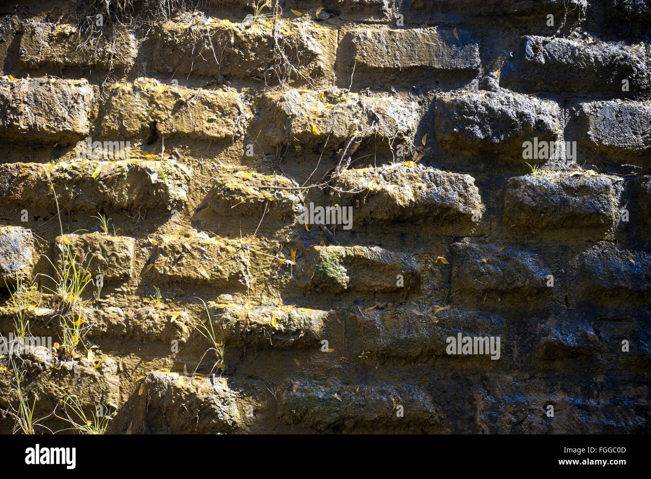 Pattern on Old and ancient colonial wall Stock Photo - Alamy