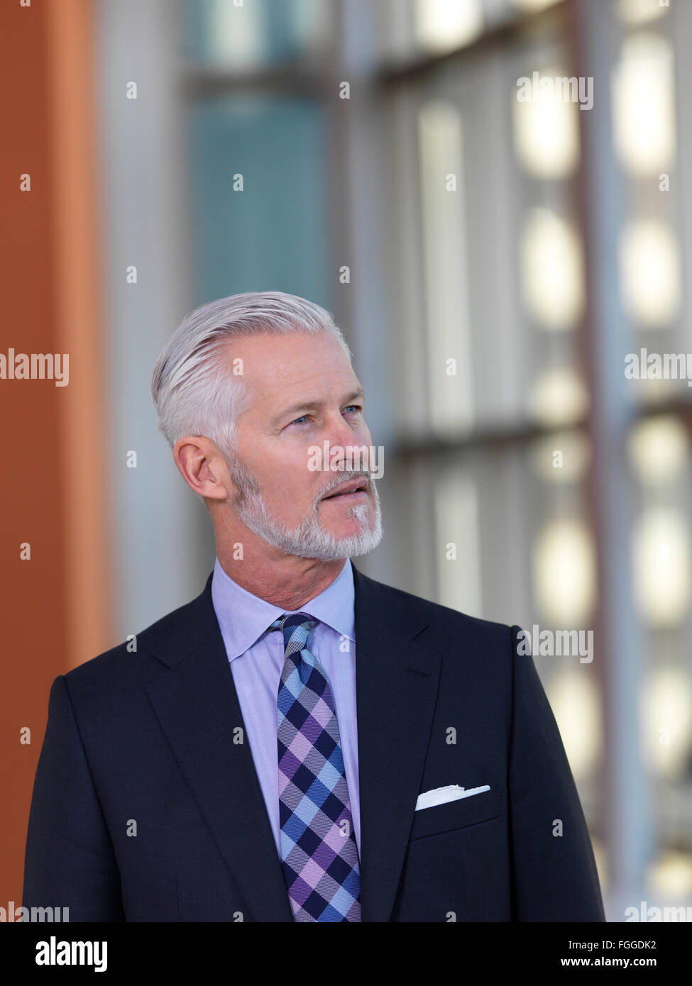 senior business man portrait Stock Photo - Alamy
