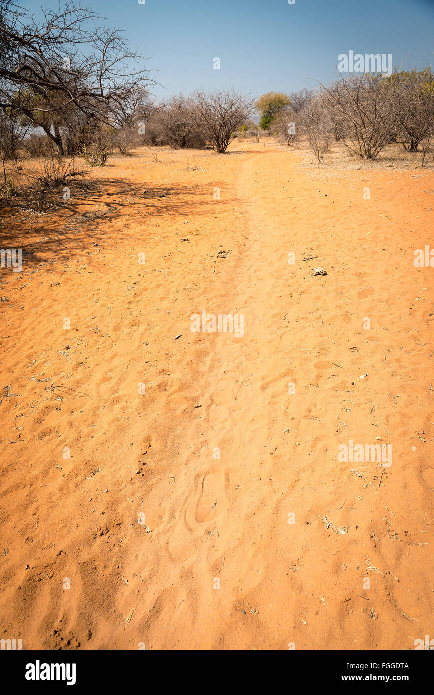 Tracks in the orange dirt of the African desert in rural Botswana ...