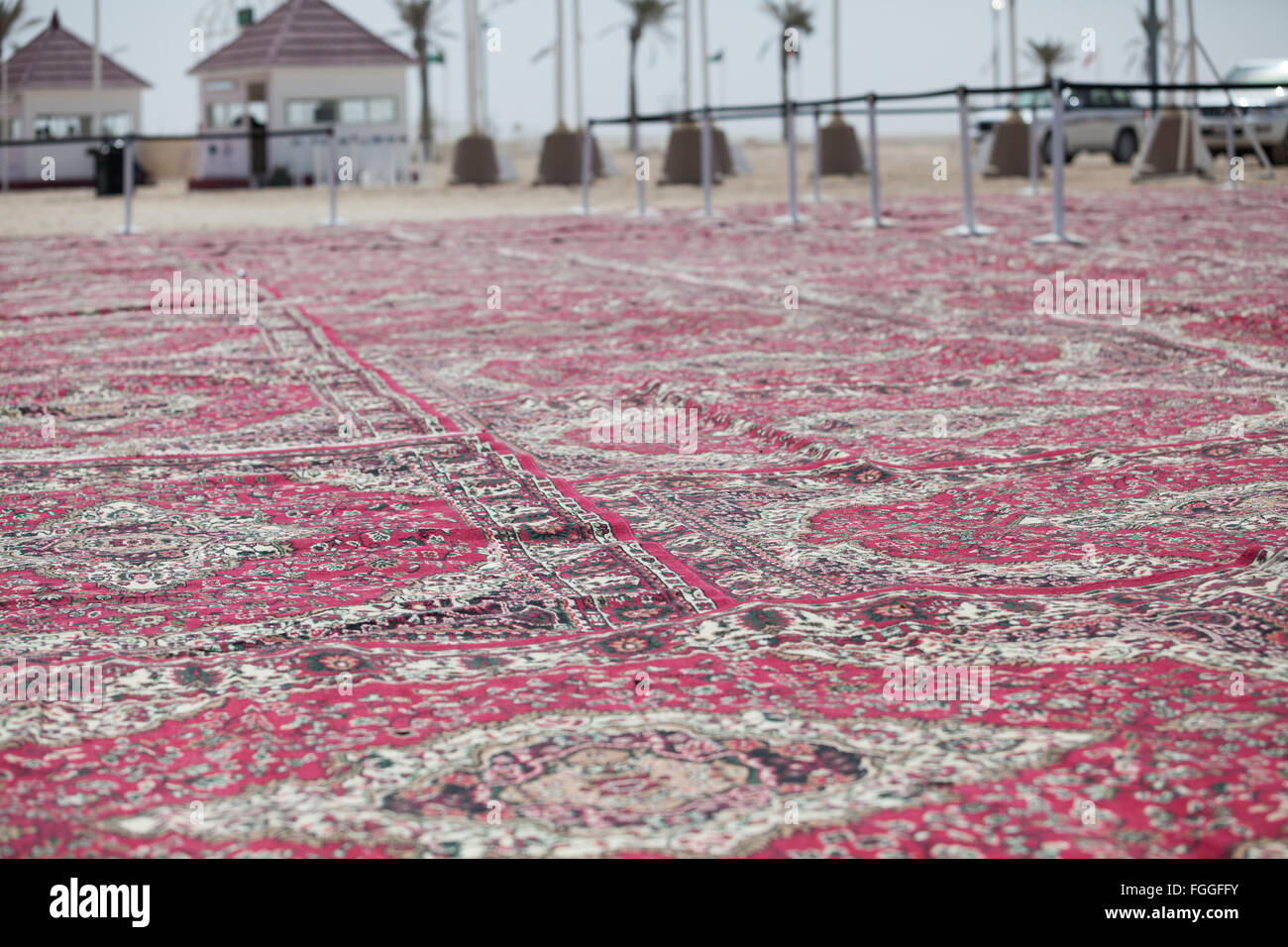 Carpets on the desert floor at Qatar Endurance Village Stock Photo - Alamy