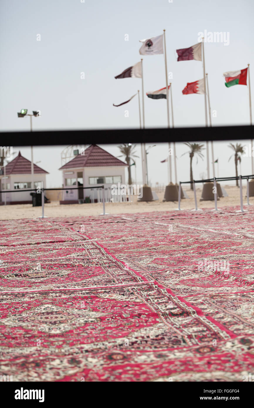 Carpets on the desert floor at Qatar Endurance Village Stock Photo - Alamy