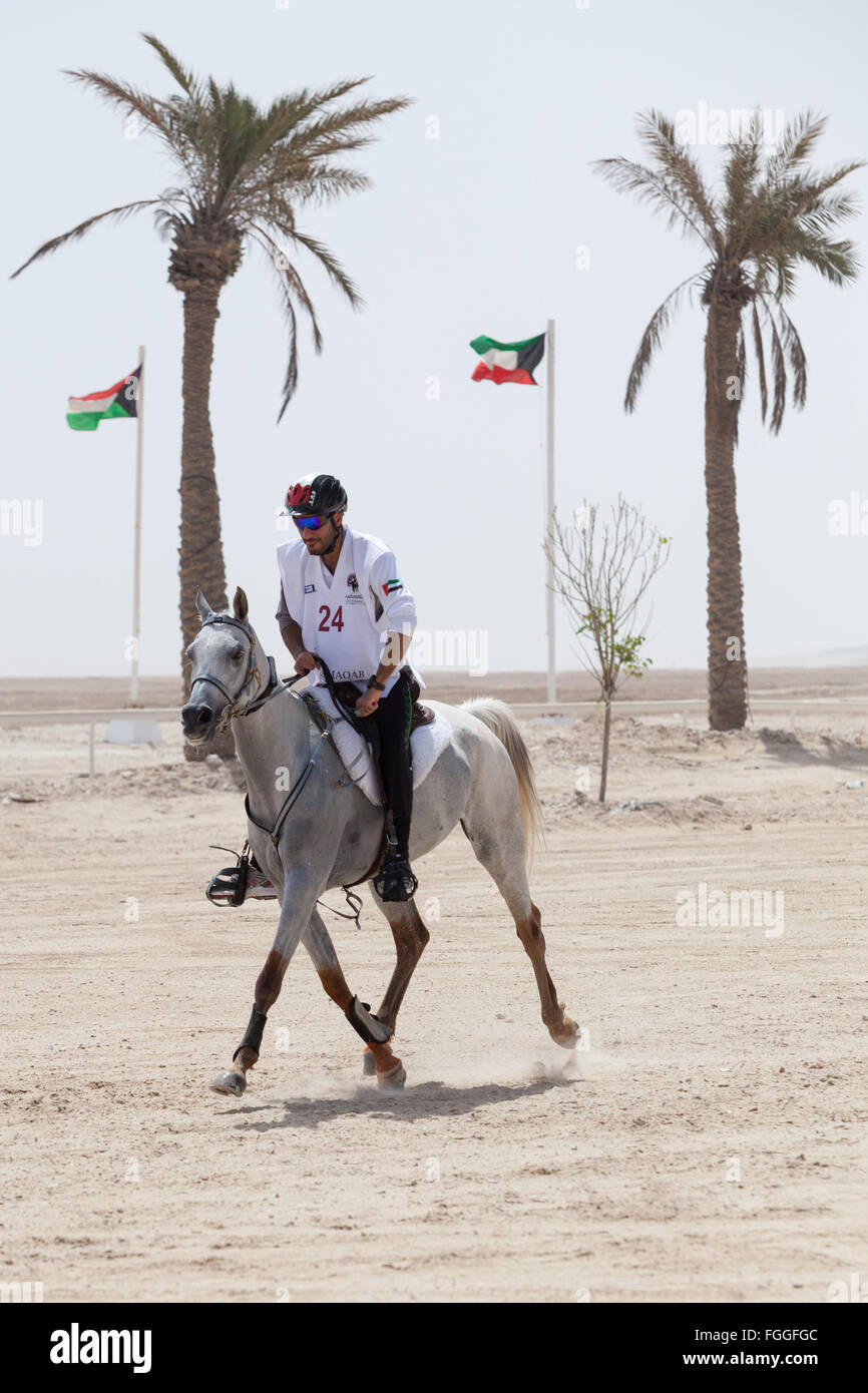 Exhausted rider near the end of a stage of endurance racing at CHI Al ...