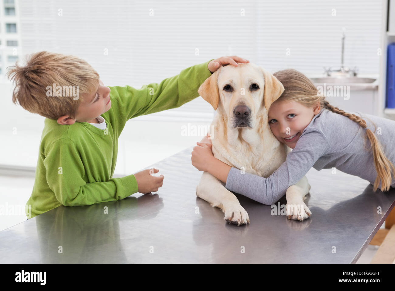 Cute labrador with its owners Stock Photo - Alamy