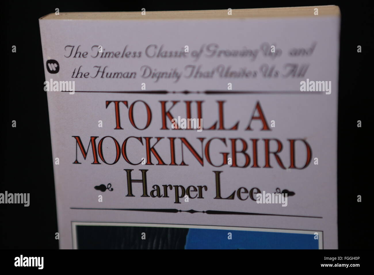 To kill a mockingbird book illustration hi-res stock photography and ...