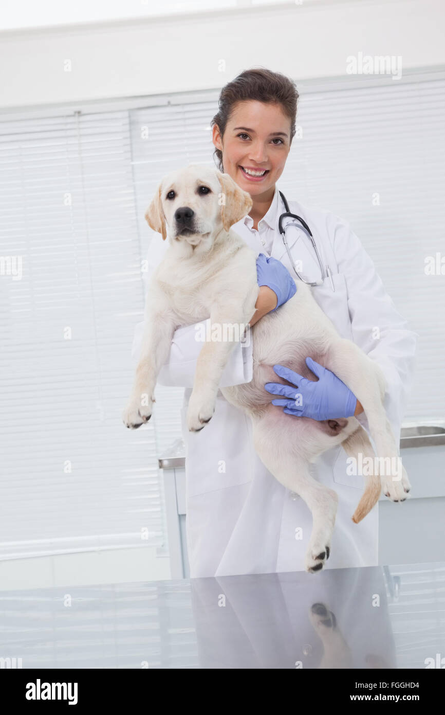 Smiling veterinarian with a cute dog in her arms Stock Photo - Alamy