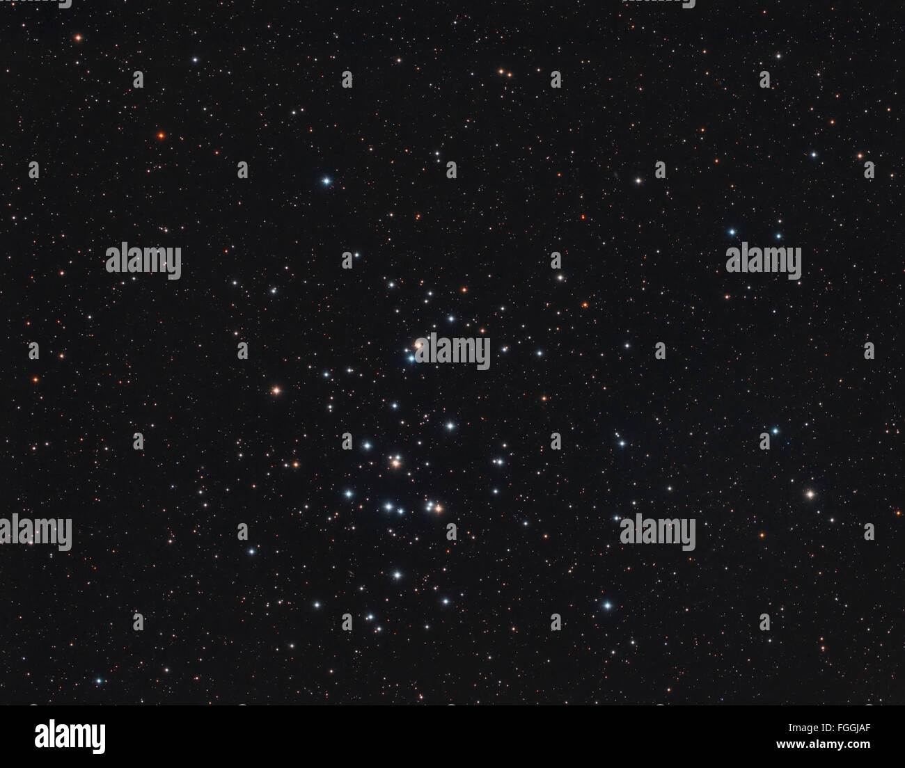 M44 - Praesepe also known as the Beehive Cluster - an open star cluster ...