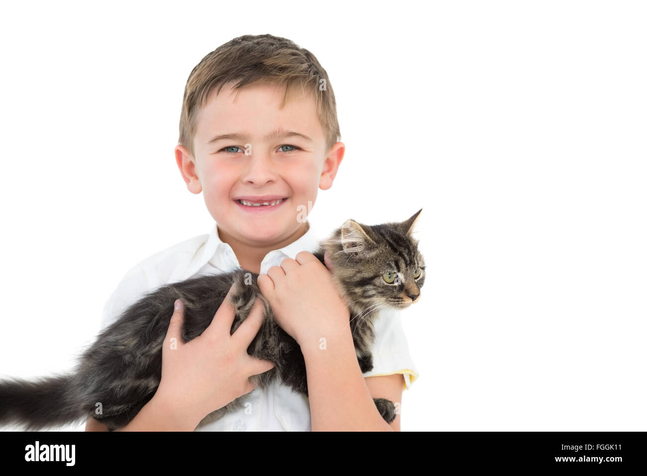 Little boy holding grey kitten smiling at camera Stock Photo - Alamy
