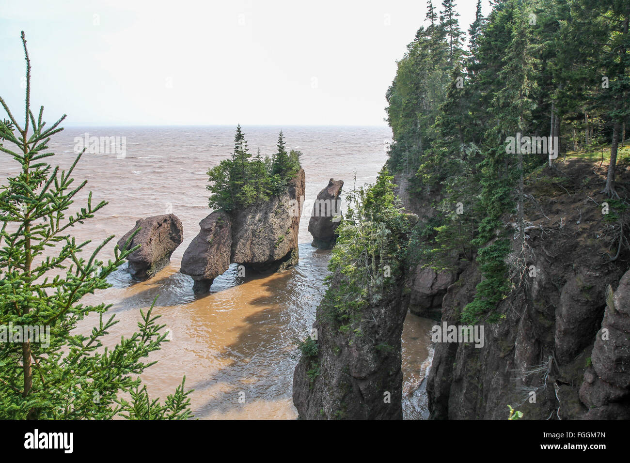 Hopewell rocks national park hi-res stock photography and images - Alamy
