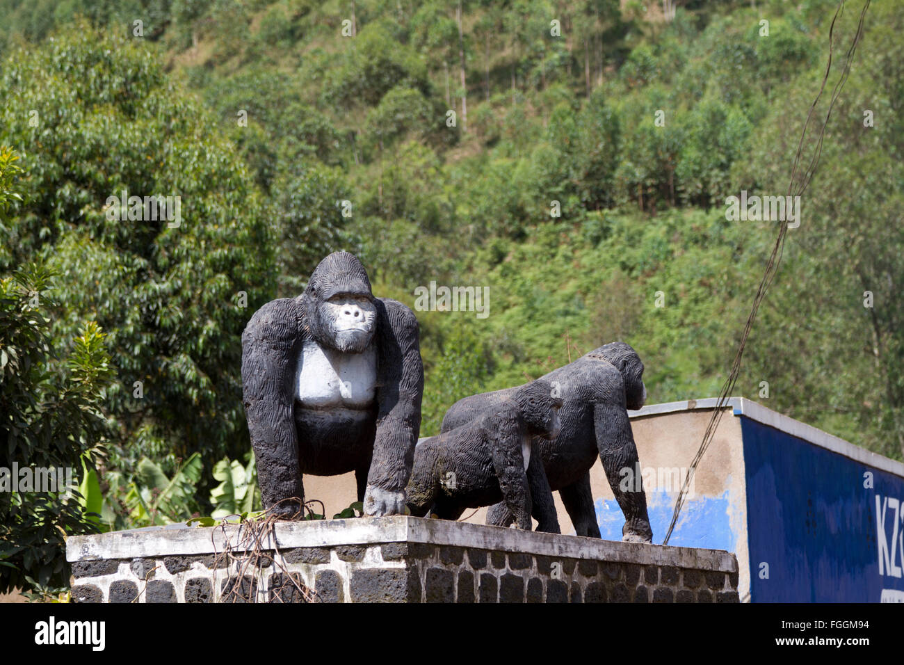 statue of mountain gorilla,Rwanda ,Africa Stock Photo - Alamy
