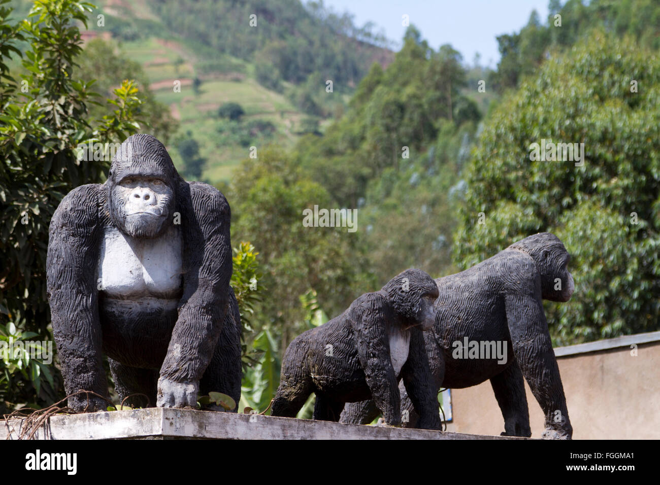 statue of mountain gorilla,Rwanda ,Africa Stock Photo - Alamy