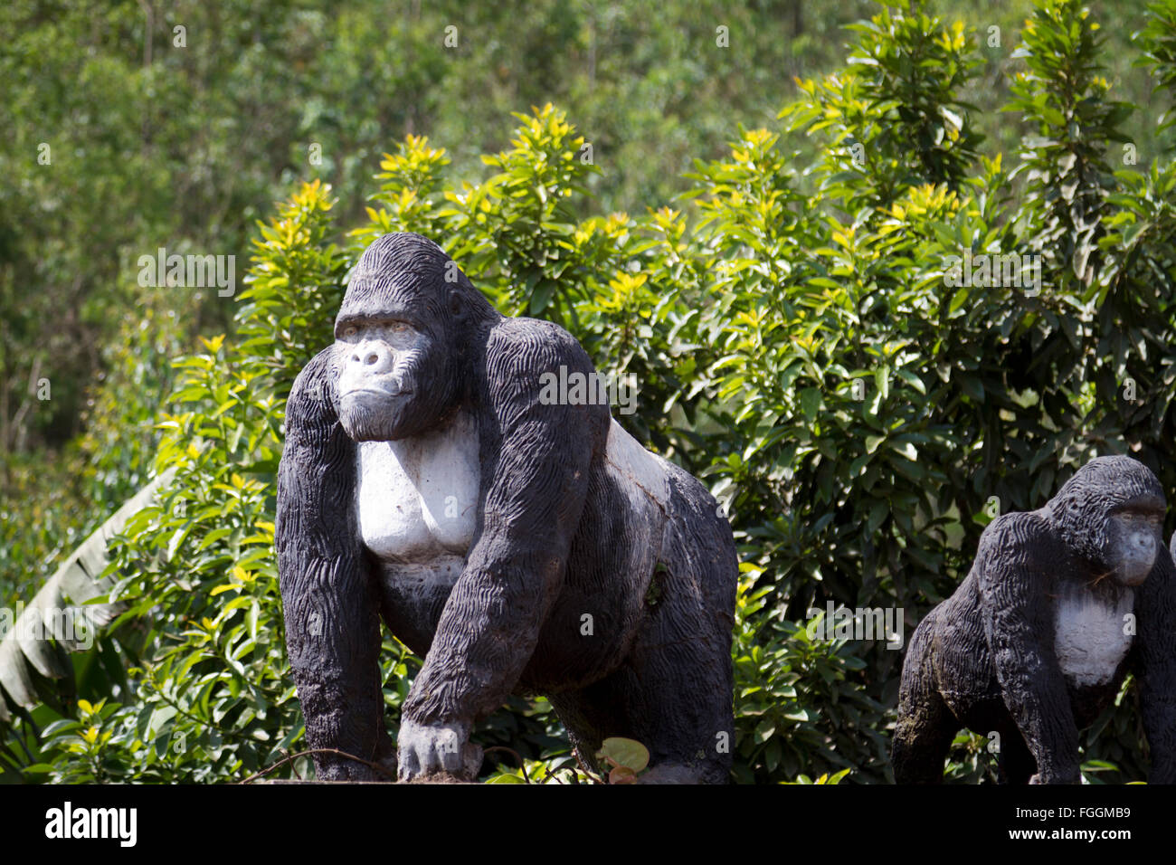 statue of mountain gorilla,Rwanda ,Africa Stock Photo - Alamy
