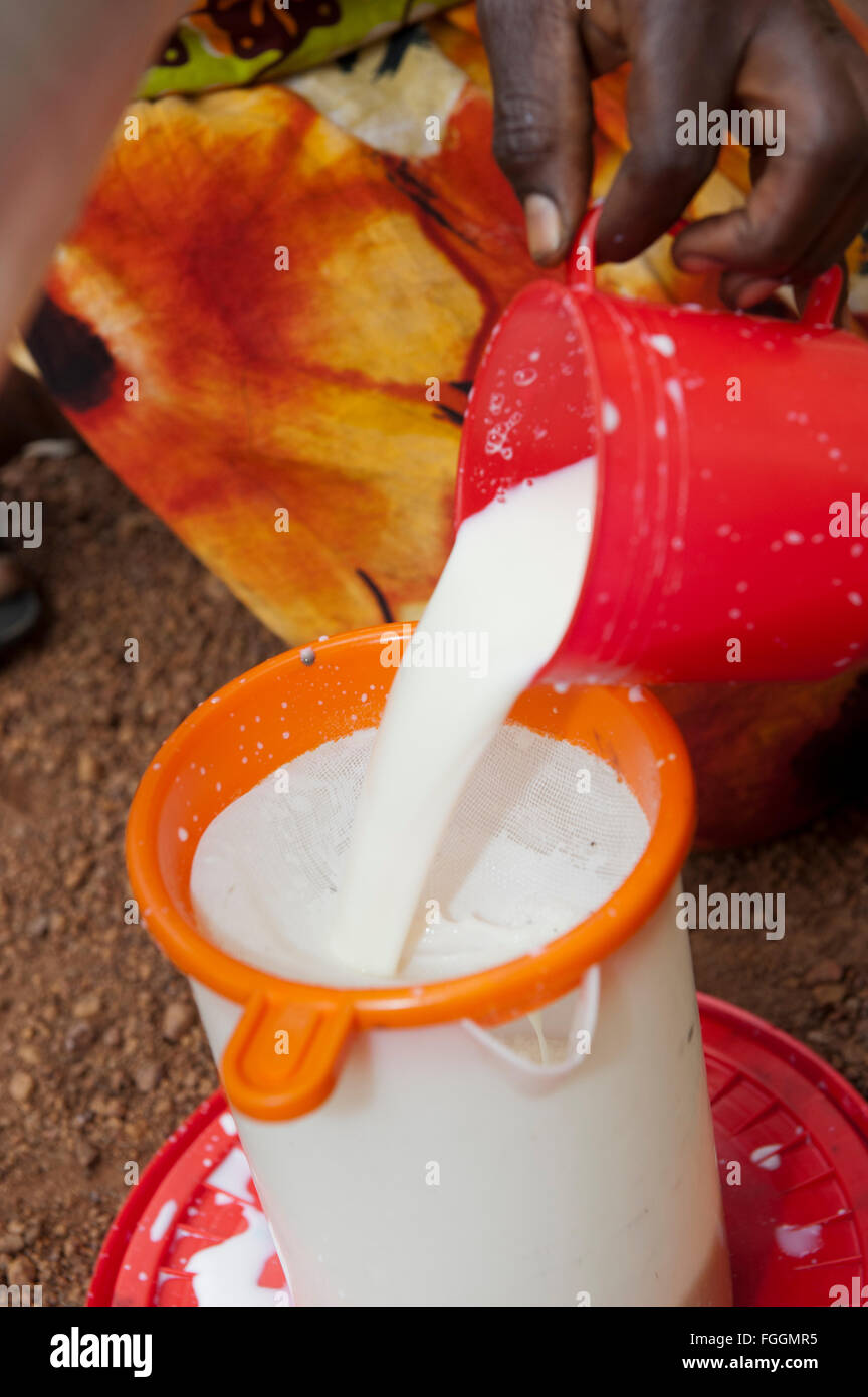 Filtering of milk hi-res stock photography and images - Alamy