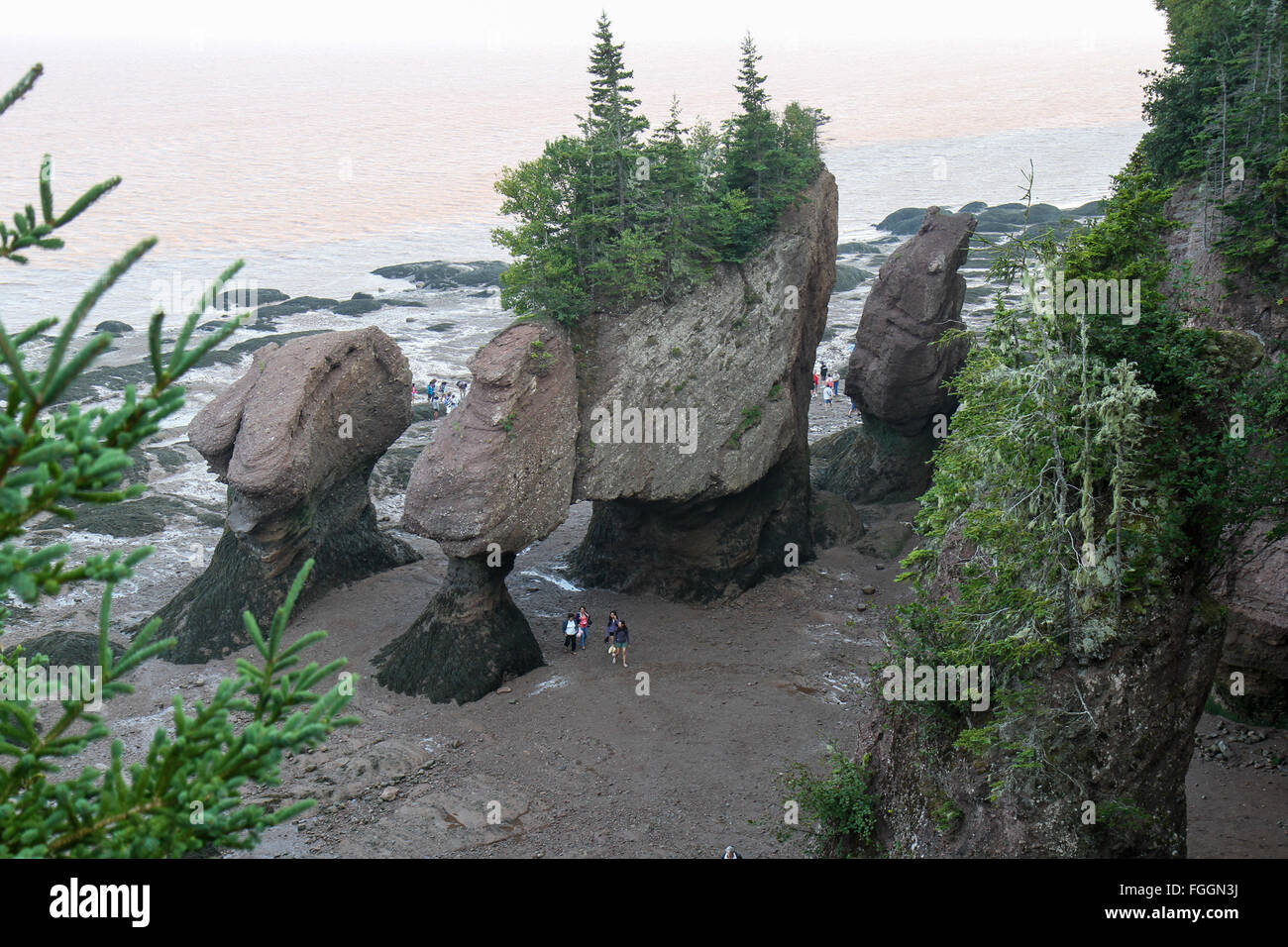 Flower Pot Rocks Stock Photo - Alamy