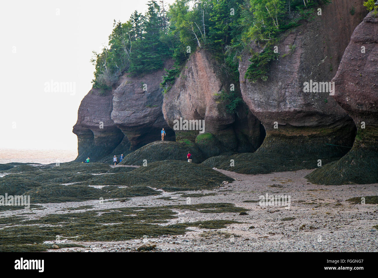 Flower Pot Rocks Stock Photo - Alamy