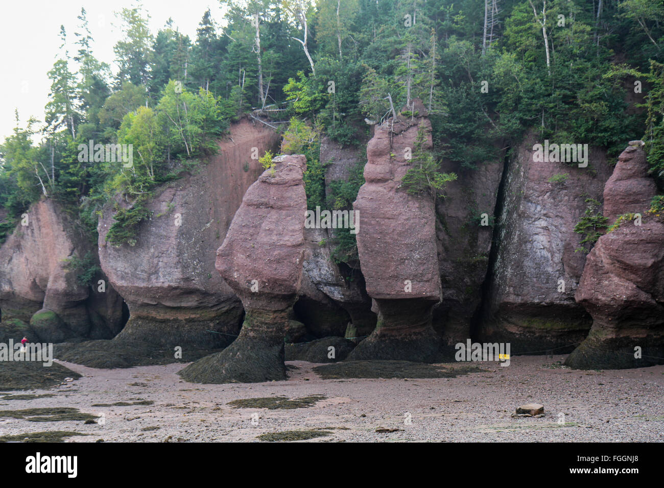 Flower Pot Rocks High Resolution Stock Photography and Images - Alamy