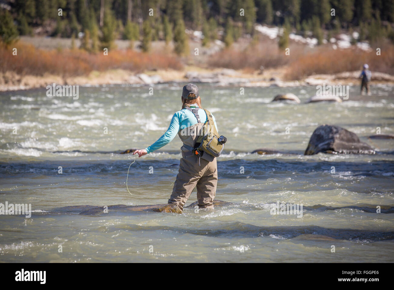 Madison river hi-res stock photography and images - Alamy