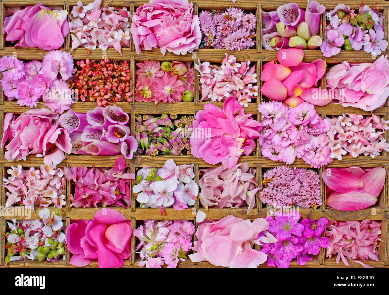 Flower collage hi-res stock photography and images - Alamy