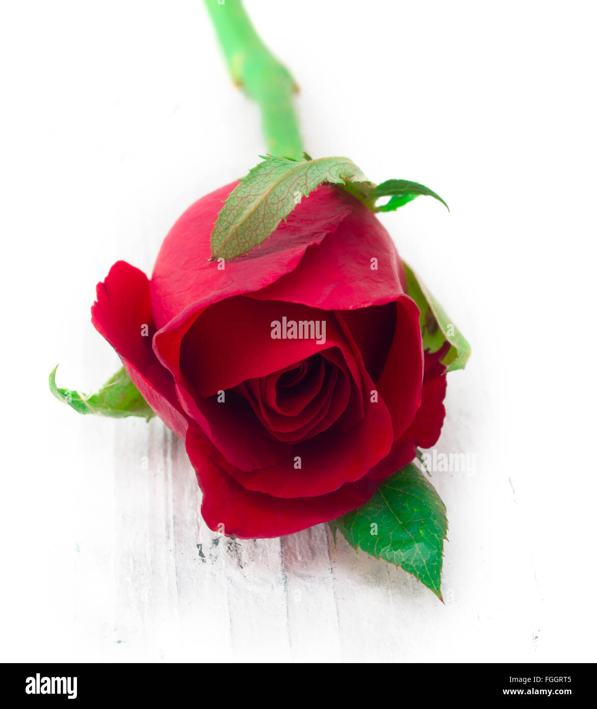 Love concept design greeting Cut Out Stock Images & Pictures - Alamy