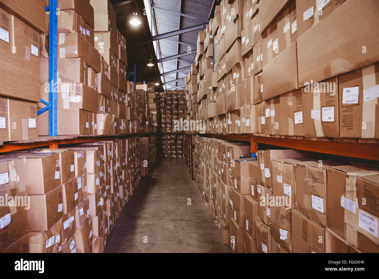 Shelves with boxes in warehouse Stock Photo - Alamy