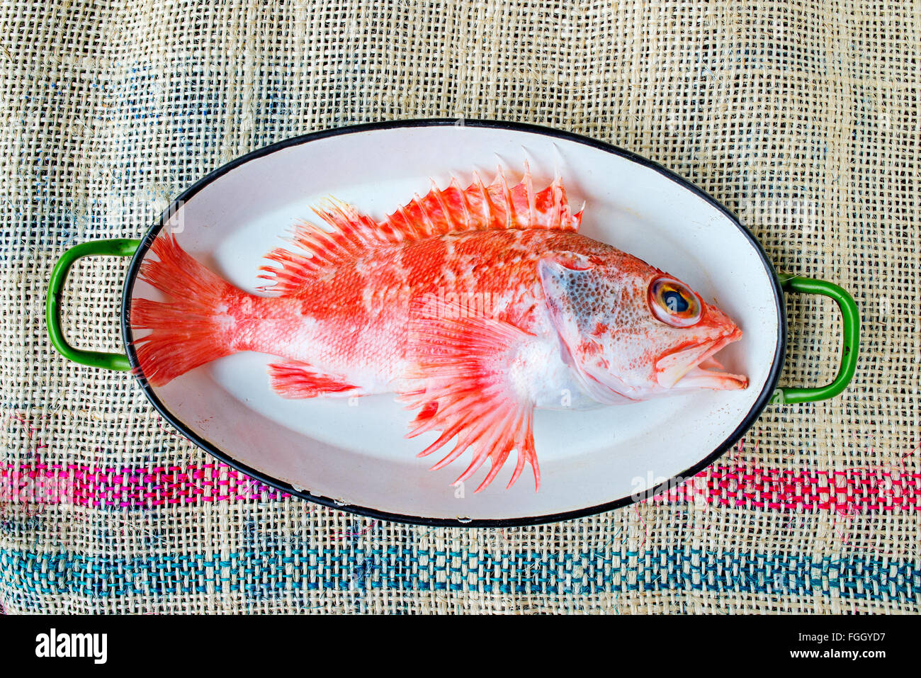 Scorpion fish hi-res stock photography and images - Alamy