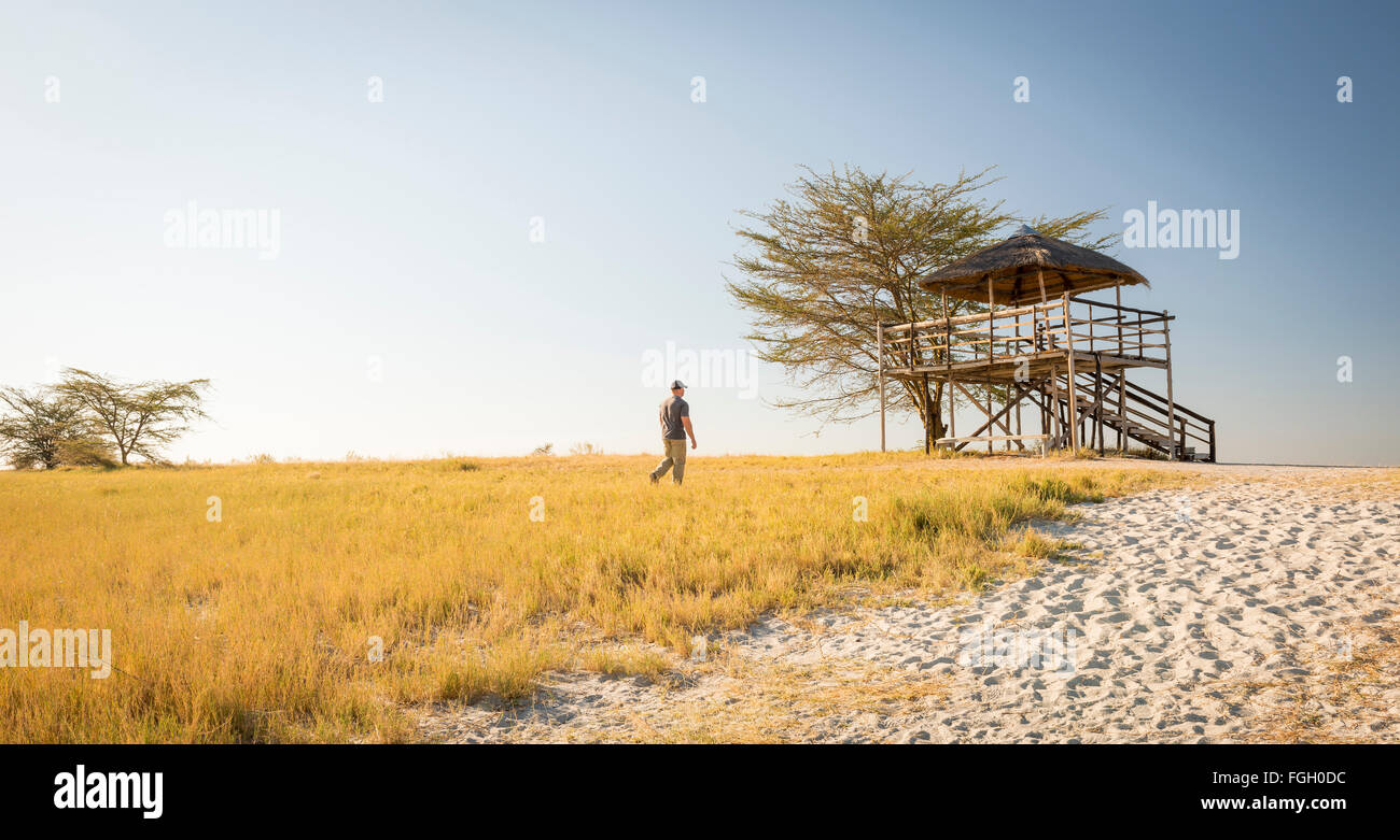 Man walks through long grass towards a raised hut at sunset while on ...