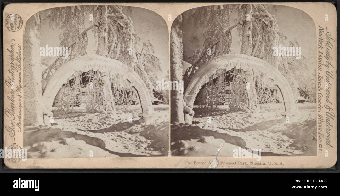 A photograph by George Barker of the frozen arch at Prospect Park ...