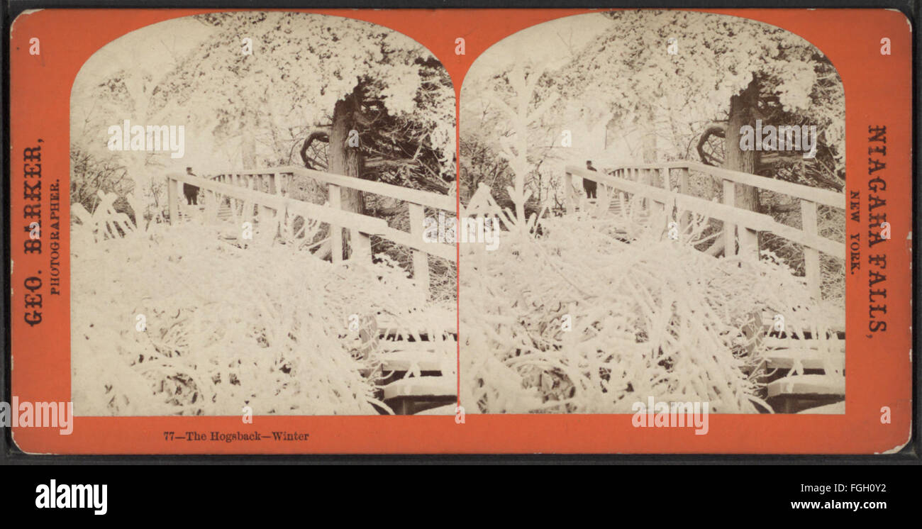 A winter photograph by George Barker of The Hogsback, showcasing the ...