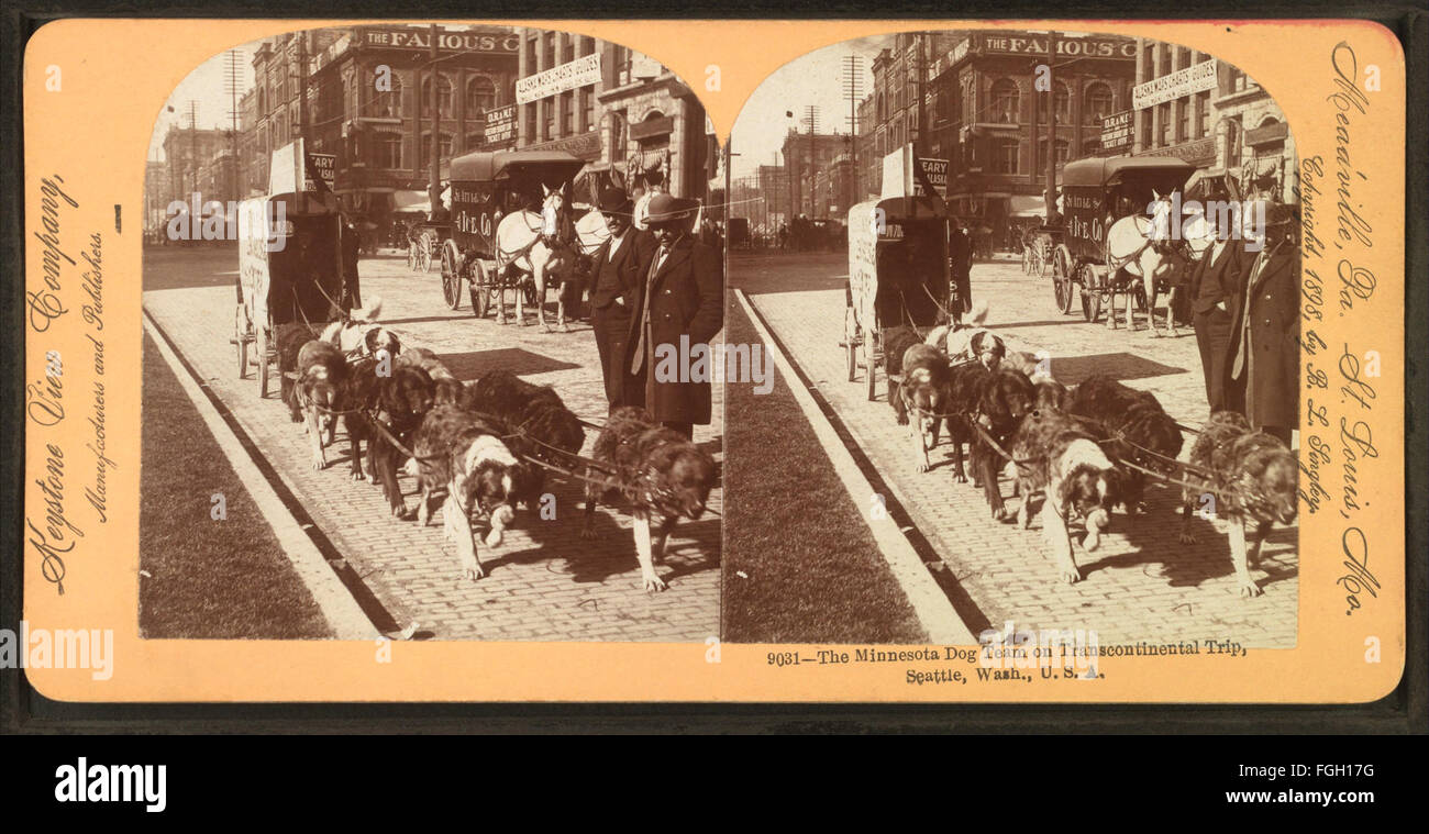 Photograph of the Minnesota dog team during their transcontinental trip ...