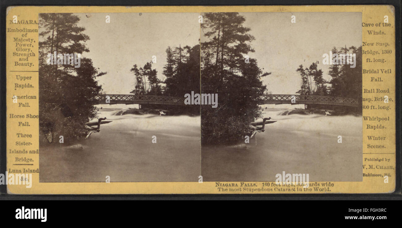 A photograph of a trellis bridge, captured by William M. Chase. The ...