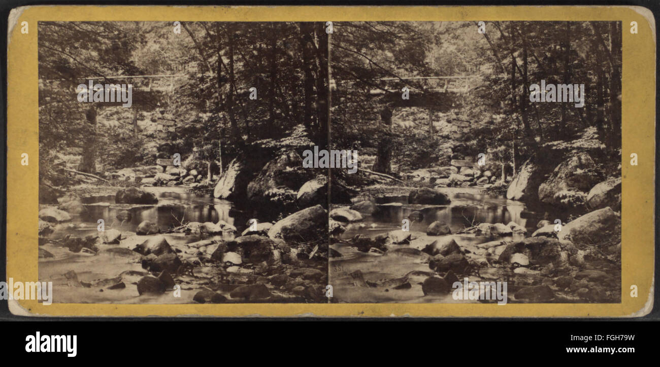 Photograph taken from Indian Fall, showing the stream below. Captured ...