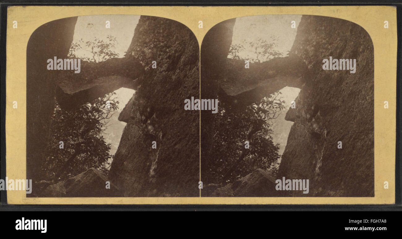 A photograph of the view from the Labyrinth, showcasing the natural ...