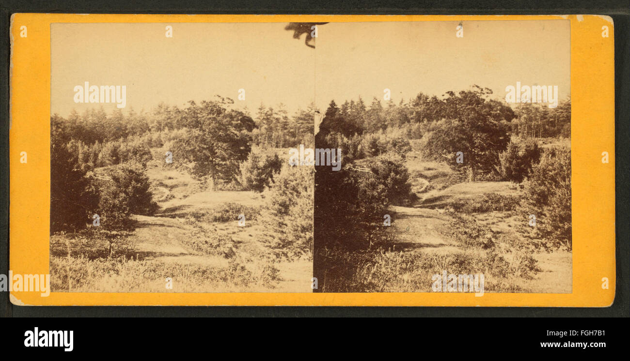 A photograph capturing a view from near the spring, showing the ...