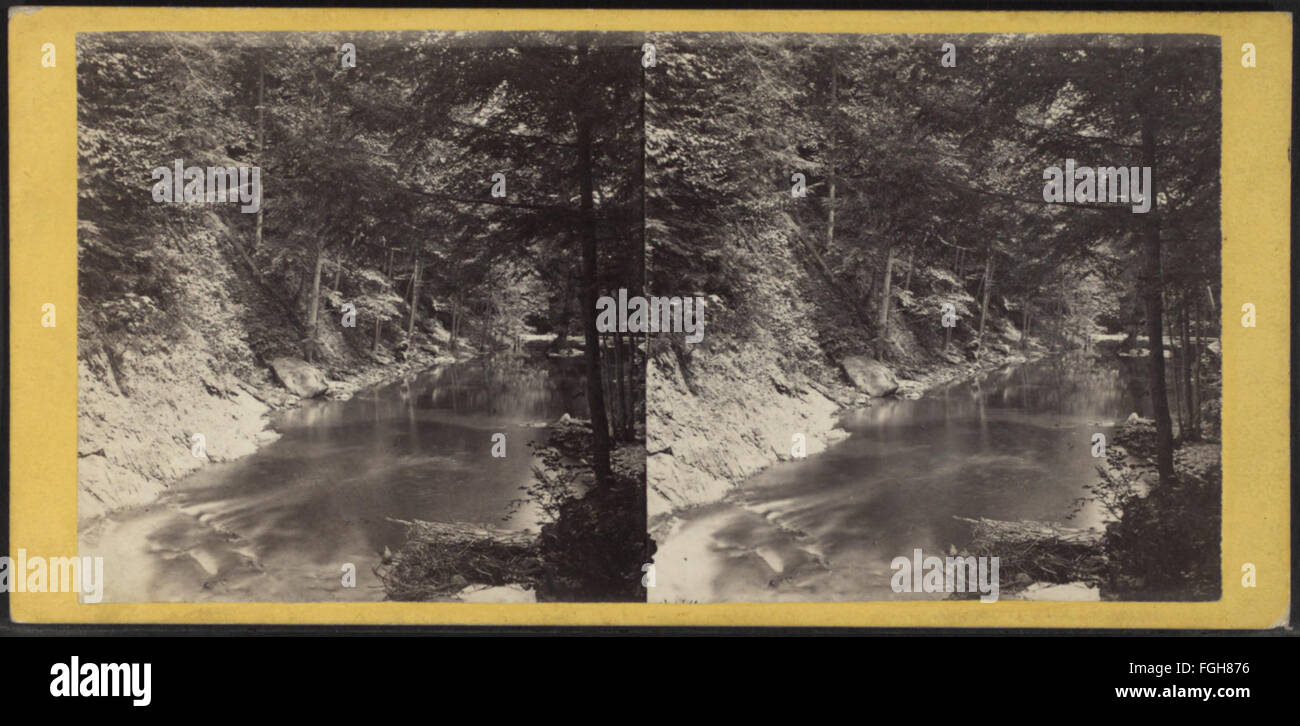 A photograph showing a view in the ravine near Idlewilde, taken by E ...