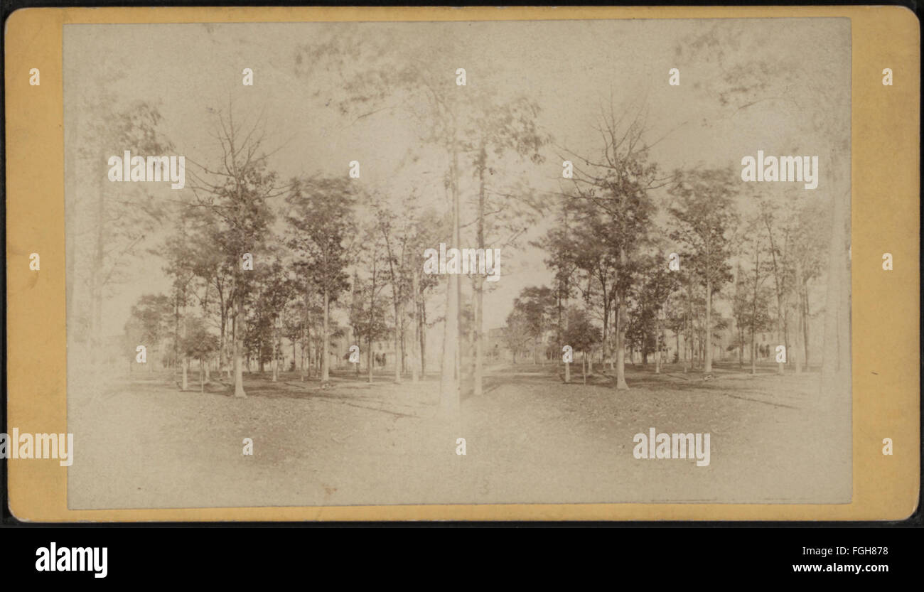 This photograph by David W. Wilson captures a scene in Washington ...